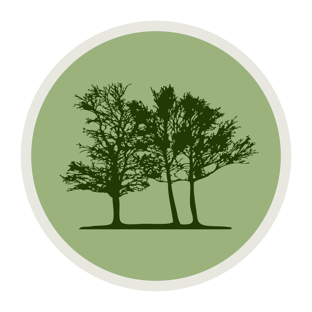 Build your own Backyard Treehouse - Tree House DIY – Treehouse Supplies