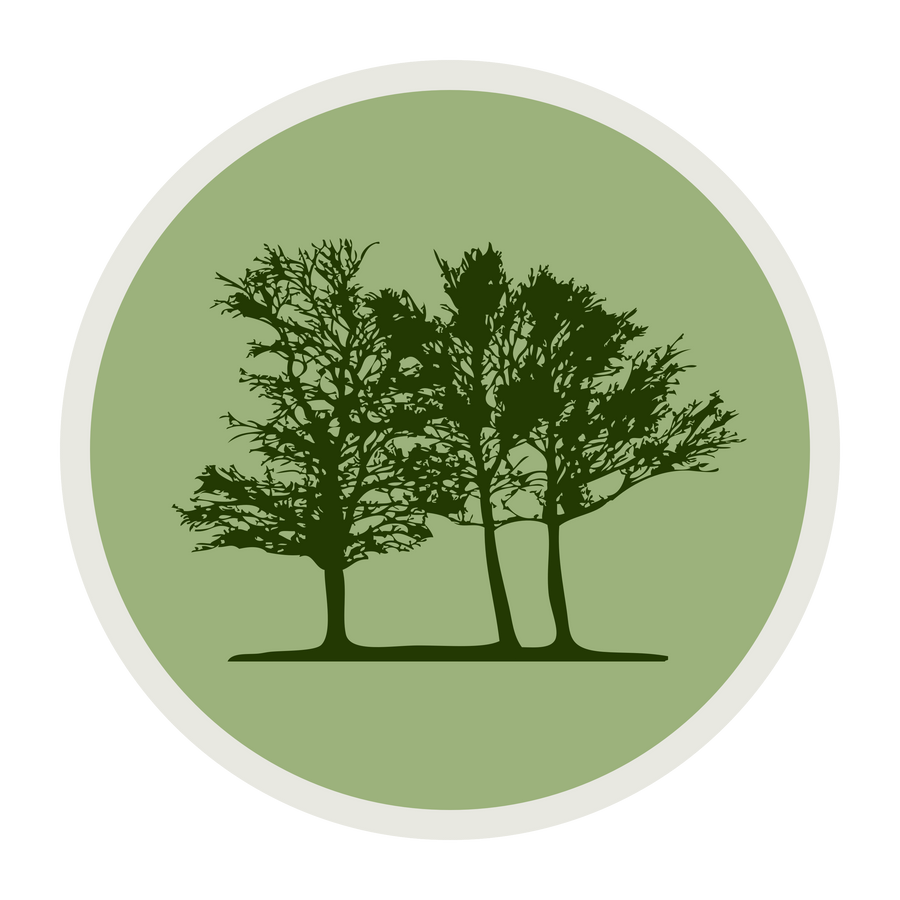 Build your own Backyard Treehouse - Tree House DIY – Treehouse Supplies