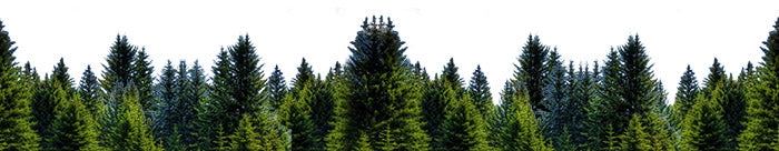 Treehouse Supplies Bridge Kits